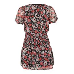 Dorothy Perkins Petite Kleid 'Daisy' Damen Gr&ouml;&szlig;e 36 mischfarben / koralle Winterkleid