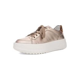 Ara Sneaker in Beige | Gr.: 40