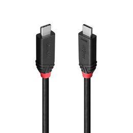 Lindy 37002 2m USB4 Typ C Kabel, 40Gbit/s, 240W PD, Black Line - Typ C Stecker an C Stecker