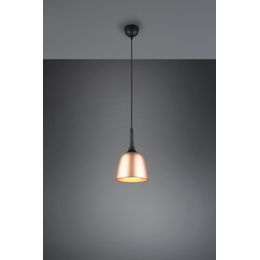 Trio Leuchten Chiron Pendelleuchte Messing, 1-flammig