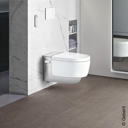 Geberit AquaClean Mera Wand-Dusch-WC mit TurboFlush, mit WC-Sitz, 146210211,