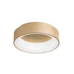 LED-Deckenlampe Noah, goldfarben, Ø 60 cm, Metall, CCT