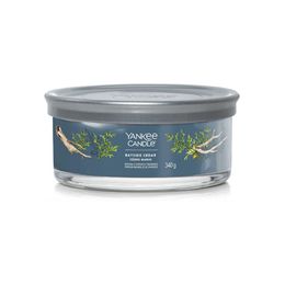 yankee candle Duftkerze "Bayside Cedar" - 340 g - 15% | Kerzen-vasen