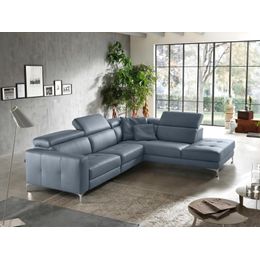 Ecksofa Egoitaliano "Matt, hoher Sitzkomfort und aufwendige Detailverarbeitung, L-Form", grau (smoke), B:285cm H:100cm T:221cm, Leder &raquo;BULL&laquo; (echtes Rindsleder). Geschliffenes, pigmentiertes und behandeltes Rindsleder mit einer Dicke von 1, 3-1, 5 mm. Dieses Leder zeigt eine ziemlich weiche Hand mit einem halb undurchsichtigen Aussehen. Es handelt sich um ein gesch&uuml;tztes Leder. Eine leichte Decksc