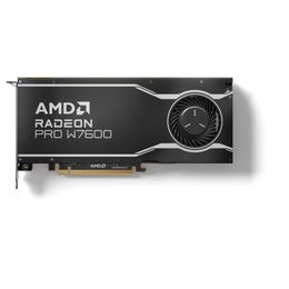 AMD Grafikkarte "Radeon Pro W7600"ohne farbbezeichnung, Grafikkarten