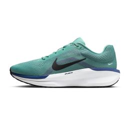 Nike Winflo 11 Herren
