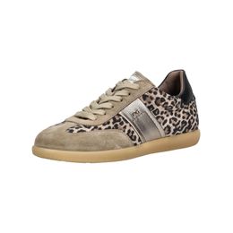 Nero Giardini Damen Sneaker "Nero Giardini Sneaker Leder/Textil", Gr. 36, beige, Leder, Textil, Schuhe