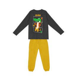DENOKIDS Jungen Hausanzug "Be Wild", Gr. 104, grau, 47% Polyester, 33% Baumwolle, 20% Viskose, unifarben, Homewear-Sets, mit Tier-Motiv