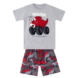 DENOKIDS Jungen Hausanzug "Triceratruck", Gr. 122, grau, 65% Baumwolle, 30% Polyester, 5% Elasthan, bedruckt, Homewear-Sets, mit Dino-Aufdruck