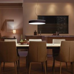 PHILIPS Hue White Ambiance Enrave Pendelleuchte, LED, 8718696176580,