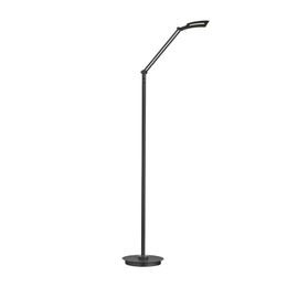 HELL EVOLO Stehleuchte, LED, 60538/1-06,