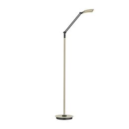 HELL EVOLO Stehleuchte, LED, 60538/1-12,