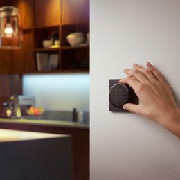 PHILIPS Hue Tap Dial mobiler Dimmschalter, 8719514440937,