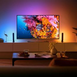 PHILIPS Hue White & Color Ambiance Play Tischleuchte, 2er Set, LED, 8718696170724,