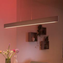 PHILIPS Hue White & Color Ambiance Ensis Pendelleuchte, LED, 8719514343467,