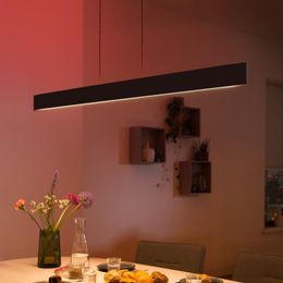 PHILIPS Hue White & Color Ambiance Ensis Pendelleuchte, LED, 8719514343368,
