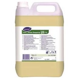 TASKI Jontec Deepstrip F1j Grundreiniger f&uuml;r Linoleum 2 x 5 Liter Kanister
