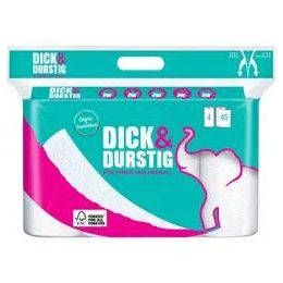 Hakle Dick & Durstig K&uuml;chenrollen Zellstoff 2-lagig hochwei&szlig; 1 Pack = 24 Rollen