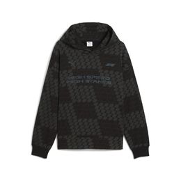 Puma Sweatshirt 'F1 Ultimate Racer' Herren Gr&ouml;&szlig;e L grau / dunkelgrau / schwarz