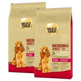 SELECT GOLD Sensitive Trockenfutter Hund Adult Medium Pferd und Tapioka 2x12 kg