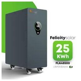Felicity 25 kWh Speicher | FLA48500 | LiFePO4 Lithium Solarbatterie 48V 500Ah | Versandkostenfrei Aktion