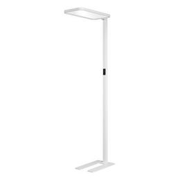 LED Stehleuchte Hansa-by-styro Saphir Plus, 80 W, 11000 lm, 4000 K, direktes/indirektes Licht, dimmbar, Tageslicht- und Bewegungssensor, H 1950 mm, wei&szlig;