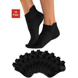 Kangaroos Sneakersocken 'Damen Sneaker Socken Kurze Socken Sportsocken Fitness Reisen Alltag' schwarz Gr. 35-38 f&uuml;r Damen. Elastisch. Nachhaltig.