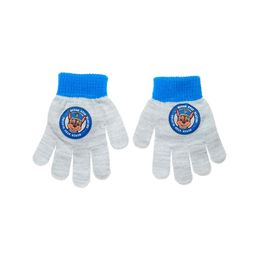 PAW PATROL Fingerhandschuhe "PAW PATROL" in Grau - 10% | Kinderhandschuhe