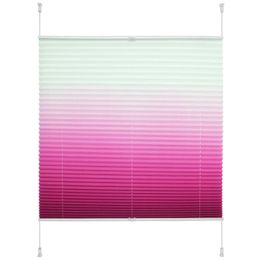 Plissee Liedeco "Farbverlauf" Gr. 7, lila (beere), B:40cm H:130cm, Obermaterial: 100% Polyester, Plissees
