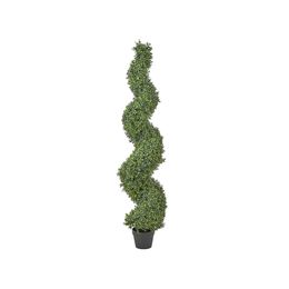 Beliani Kunstpflanze BUXUS SPIRAL TREE in Gr&uuml;n/Schwarz - (W) 30 x (H) 158 x (L) 30 cm | Gr.: onesize