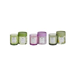 Beliani 3er-Set Kerze COLORFUL BARREL in Grün/Violett | Gr.: onesize