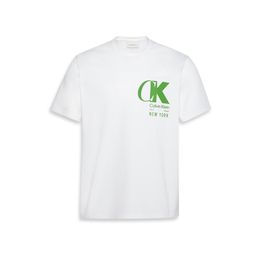 Calvin Klein T-Shirt '20S' Herren Gr&ouml;&szlig;e XXL gr&uuml;n / wei&szlig;