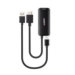 Lindy 43423 HDMI auf USB Typ C Konverter mit USB-Stromversorgung - Zum Anschluss einer HDMI -Quelle an ein USB-Typ-C-Display