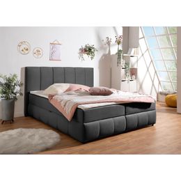 Boxbett OTTO HOME "Hartley inkl. Bettkasten und Topper, auch in &Uuml;berl&auml;nge erh&auml;ltlich", grau (anthrazit), B:172cm L:210cm, Komplettbetten, wahlweise mit Bonnell- oder TTFK-Matratze in H2, H3 o. H4 erh&auml;ltlich, Topseller