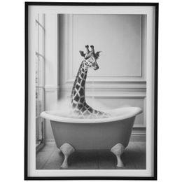 Bild mit Rahmen CREATIV HOME "Leinwandbild Giraffe in Badewanne", bunt (farbe rahmen: schwarz, farbe bild(er): bunt), B:30cm H:40cm T:1,8cm, Canvas, Kunststoff, Bilder, mit Rahmen