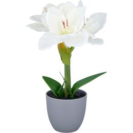 Kunstblume Creativ green "Amaryllis", weiß, H:35cm, Polyester, Kunstpflanzen