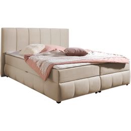 Boxbett OTTO HOME "Hartley inkl. Bettkasten und Topper, auch in &Uuml;berl&auml;nge erh&auml;ltlich", beige, B:192cm L:230cm, Komplettbetten, wahlweise mit Bonnell- oder TTFK-Matratze in H2, H3 o. H4 erh&auml;ltlich, Topseller