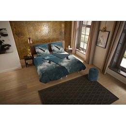 Wendebettw&auml;sche "Eagle", multi, B/L: 155cm x 220cm, 1 Stk., 1 Stk., Microfaser, B/L: 80cm x 80cm, 2 Stk., Microfaser, Obermaterial: 100% Polyester, PURE LUXURY COLLECTION, Bettw&auml;sche, Wendebettw&auml;sche, Mikrofaser, Pflegeleicht, Rei&szlig;verschluss, Wendeoptik, Natur, Adler