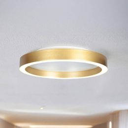 Steinhauer LED-Deckenlampe Ringlux goldfarben, Ø 40 cm, Metall, 2.700 K