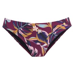 Lascana Bikini Bottoms female Purple size 34