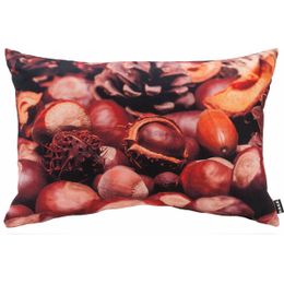 HOCK Dekokissen H.O.C.K., B:60cm L:40cm, bunt, Baumwolle, Dekokissen_Sitzkissen_Kissenh&uuml;llen, "Zapfen- und Kastanienmotiv", Kissenh&uuml;lle mit F&uuml;llung, 1