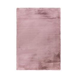 Kayoom Teppich RABBIT 100