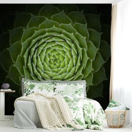 Bilderwelten Tapete - Fototapete Botanik - Mandala Sukkulente - Mandalatapete Blumentapete - Schlafzimmer Wohnzimmer modern - Blume selbstklebend