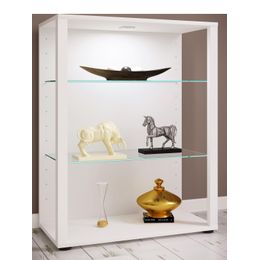 Vcm Vitrine GLASOL