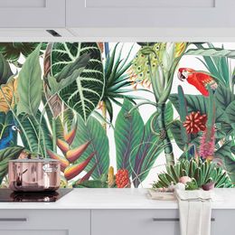 K&uuml;chenr&uuml;ckwand Folie Bunter tropischer Regenwald Muster II - Spritzschutz Folie nach Ma&szlig; Botanik Tropical Illustration Muster Tiere K&uuml;che Gr&uuml;n