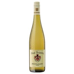 Muskateller 2022, Wei&szlig;wein, trocken, Deutschland, W&uuml;rttemberg, 1 Flasche &agrave; 0,75 l
