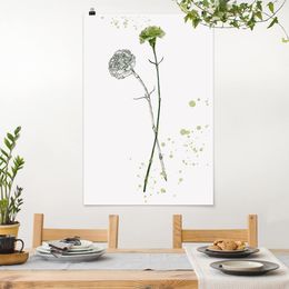 Poster Blumen Botanisches Aquarell Nelke