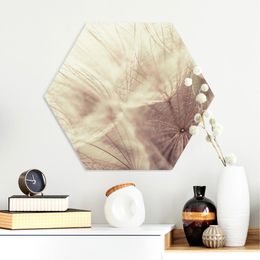 Bilderwelten Forex Bild Hexagon Blumen beige Vintage - Detailreiche Pusteblumen Makroaufnahme mit Vintage Blur Effekt - Pusteblume Wohnzimmer Schlafzimmer