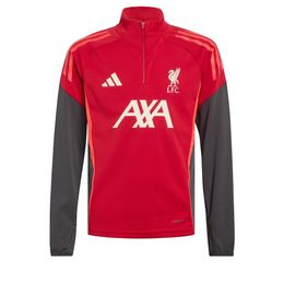 adidas Performance Funktionsshirt 'Liverpool FC Tiro 25 Competition' Jungen Gr&ouml;&szlig;e 116 anthrazit / blutrot / offwhite