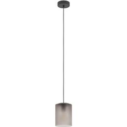 Eglo Hängeleuchte »COLOMERA Pendellampe - Stahl - E27 - 1X40W - IP20« E27 1 Stk. schwarz